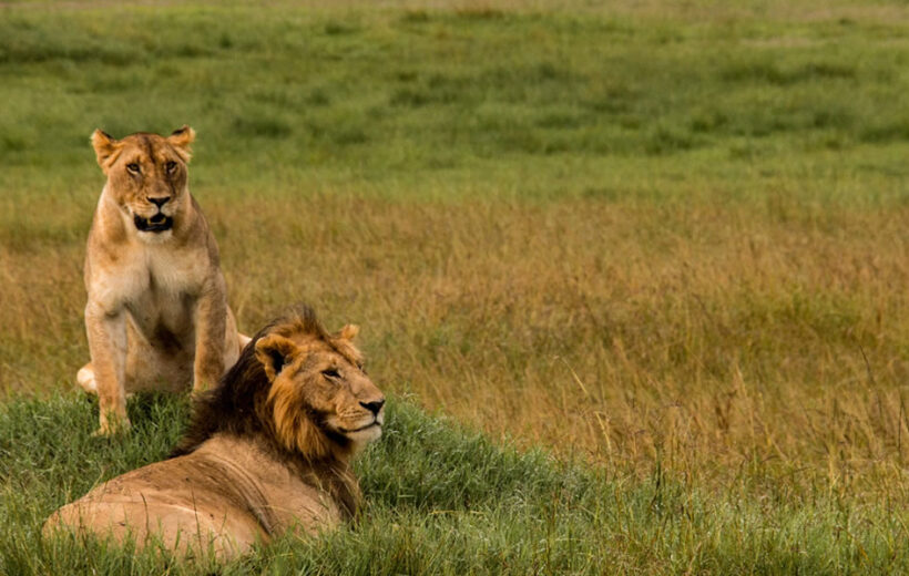 Magical Kenya - Discovery Journeys