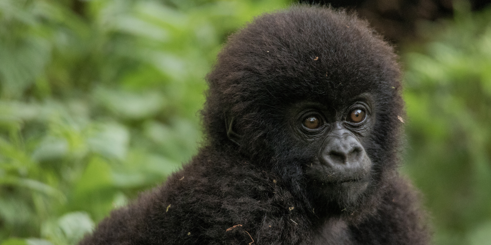 About Us - Discovery Journeys